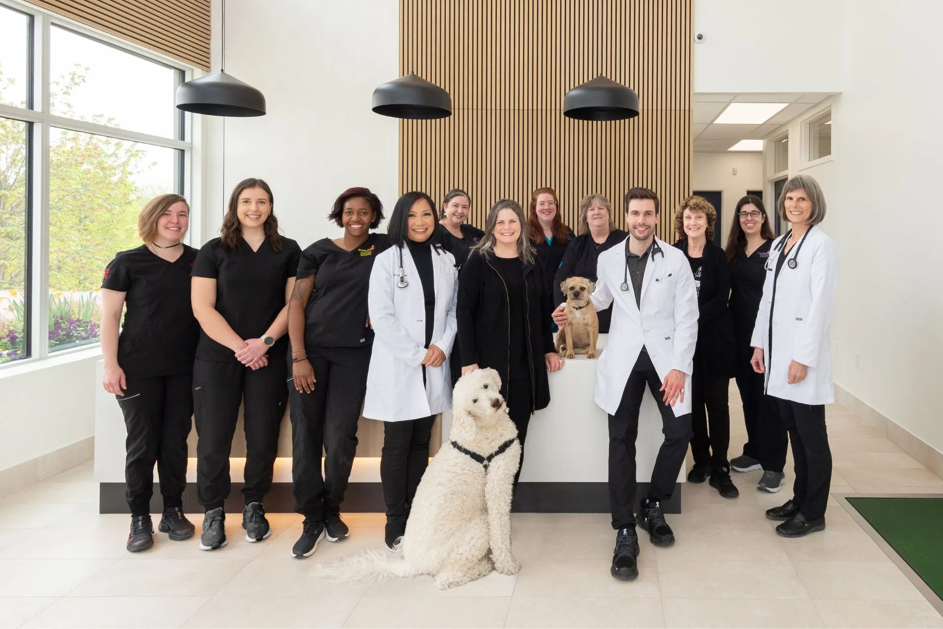 Animal Hospital & Veterinarian in Oakville, ON | Southeast Oakville Vet