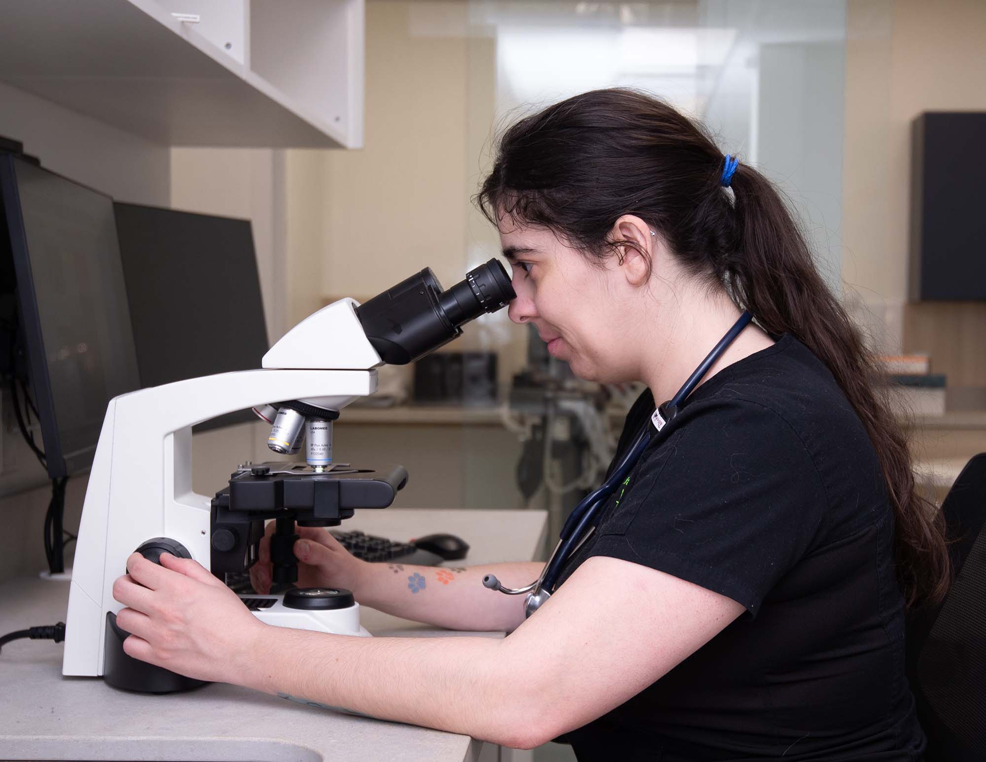 On-Site Pet Laboratory in Oakville, ON | Southeast Oakville Vet