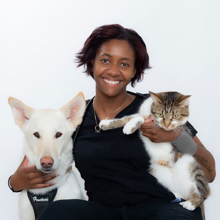 Our Vet Team in Oakville, ON | Southeast Oakville Vet