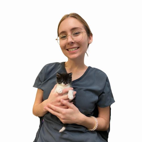 Our Vet Team in Oakville, ON | Southeast Oakville Vet
