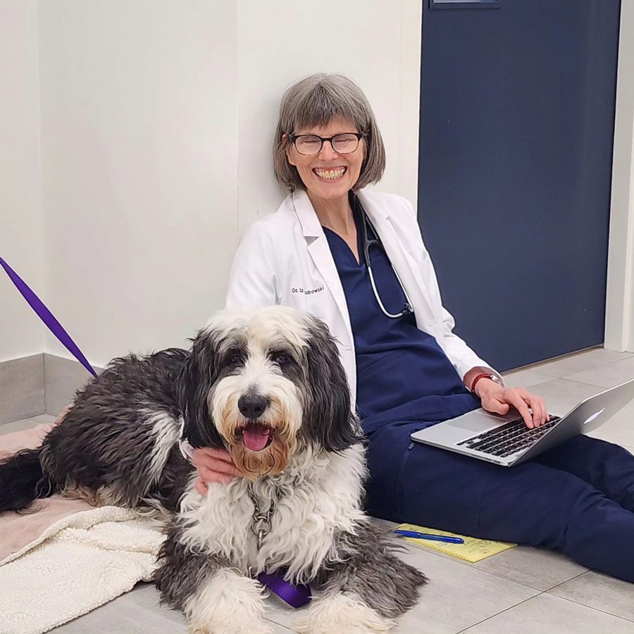 Pet Library | Southeast Oakville Vet