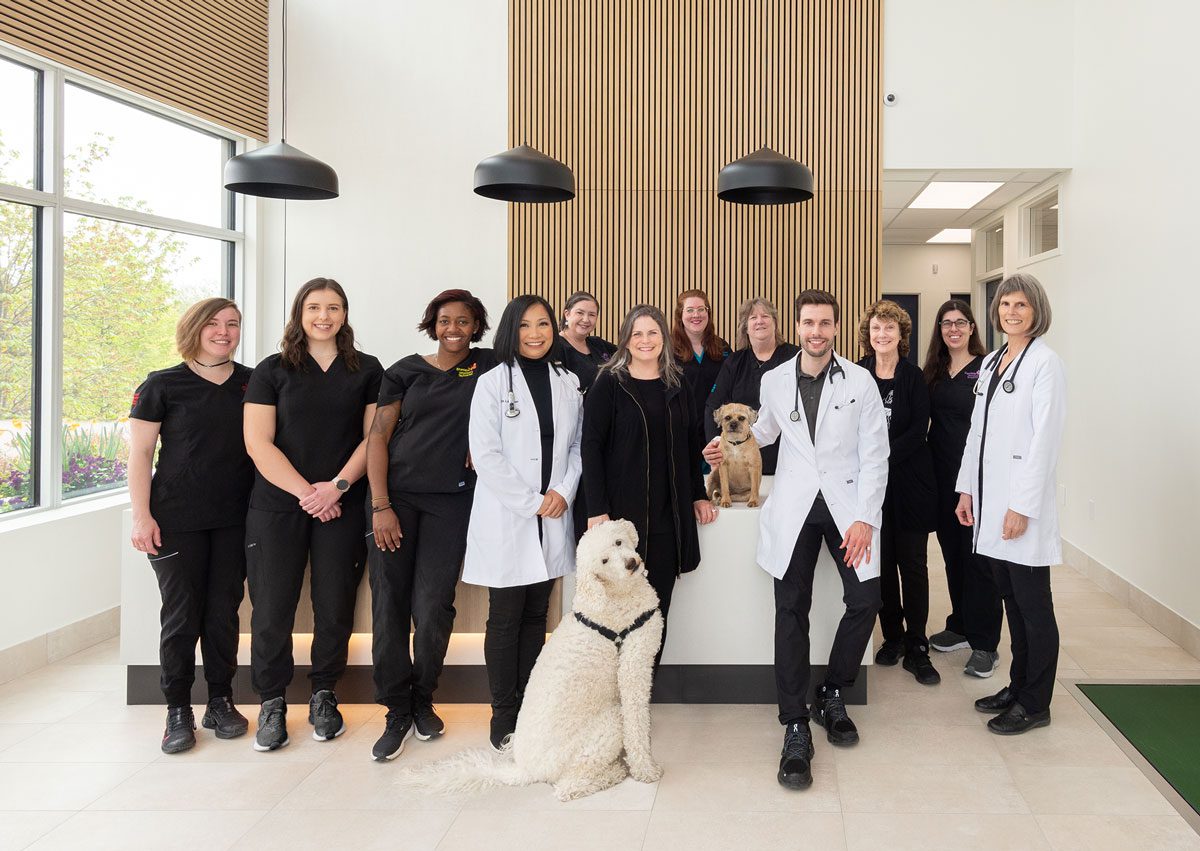 Our Vet Team in Oakville, ON | Southeast Oakville Vet